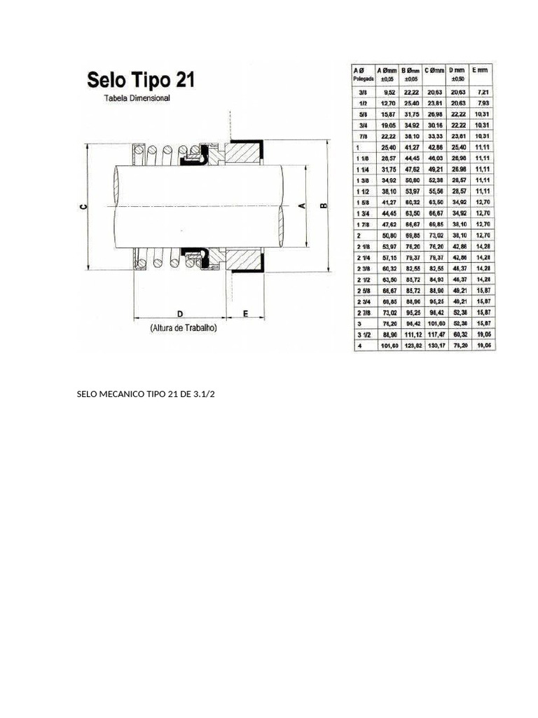 Selo Mecanico Tipo 21 | PDF