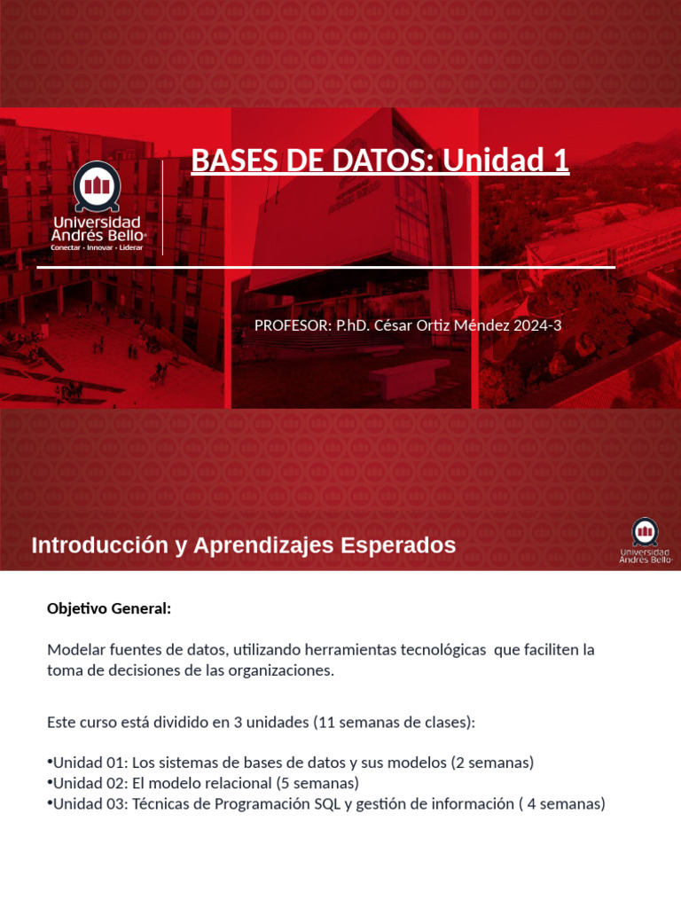 Clase 1 y 2 Unidad 1 Bases de Datos | PDF | Objeto (informática) | Bases de datos