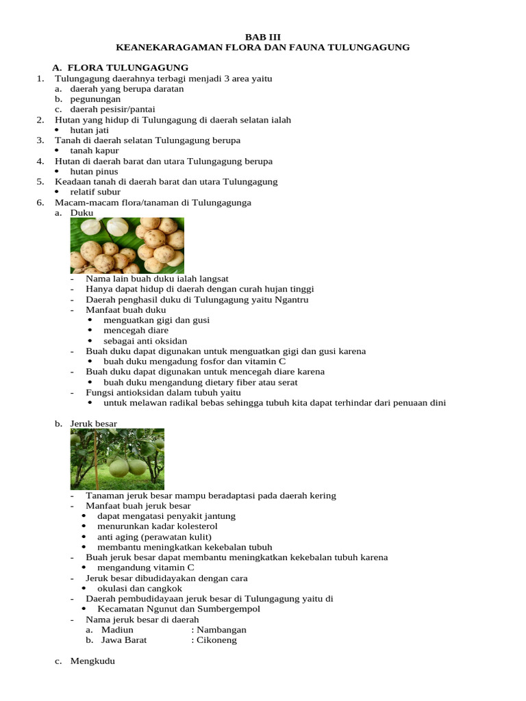 BAB III PLH Flora Dan Fauna | PDF