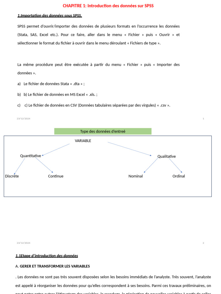 Guide SPSS pour Débutants en Analyse | PDF | Microsoft Excel | Fichier informatique