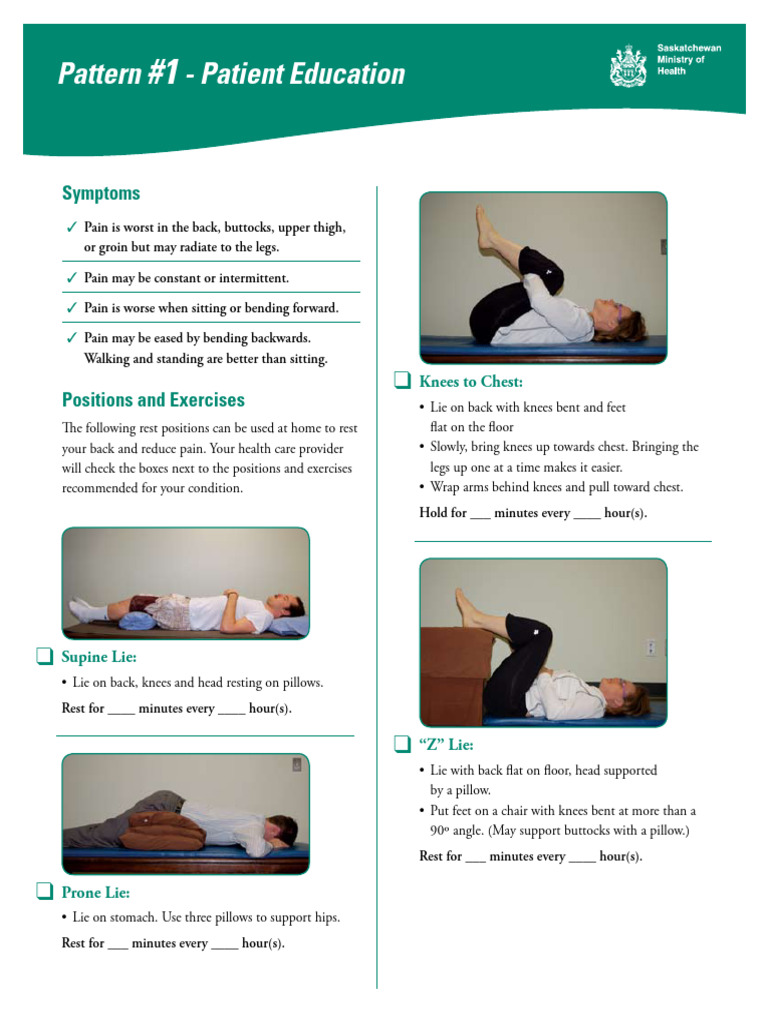 Back Pain - Patient Education | PDF | Anatomical Terms Of Motion | Knee