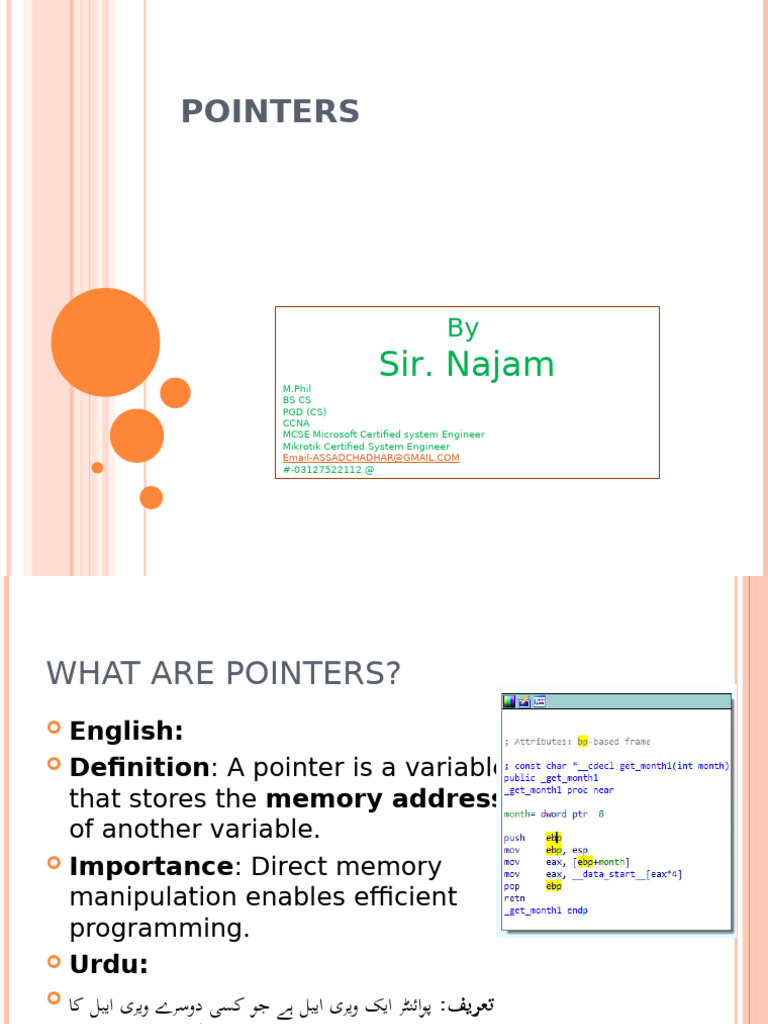 Pointers | PDF