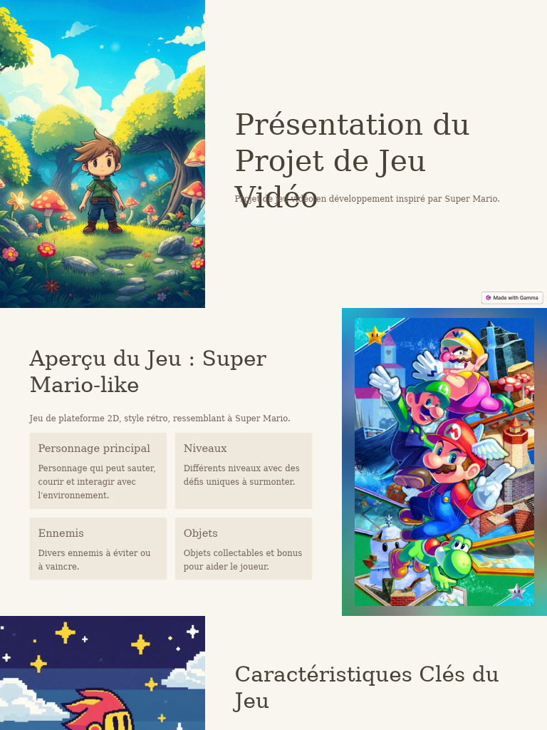 Presentation Du Projet de Jeu Video | PDF | Java (Langage de ...