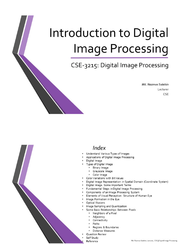 Introduction To Digital Image Processing | PDF