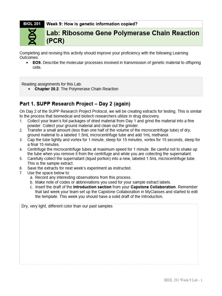 Week 9 Lab | PDF | Polymerase Chain Reaction | Dna