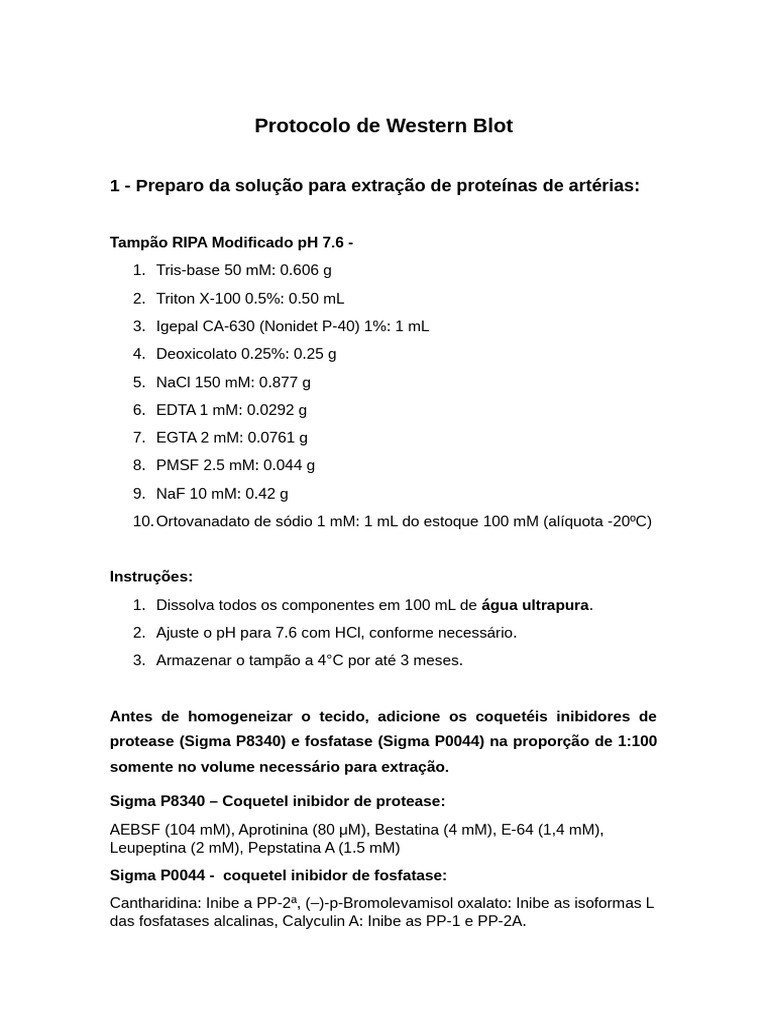 Protocolo de Western Blot LEMCRV 2025 | PDF | Eletroforese | Química