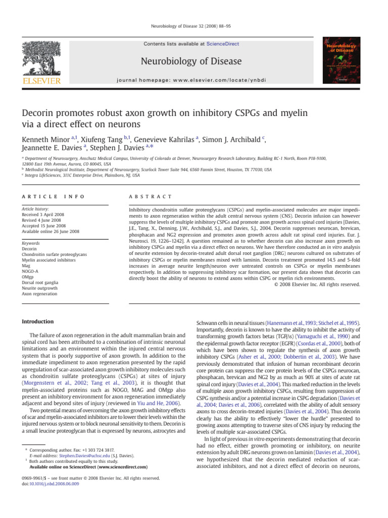 Decorin Boosts Axon Growth | PDF | Axon | Neuron