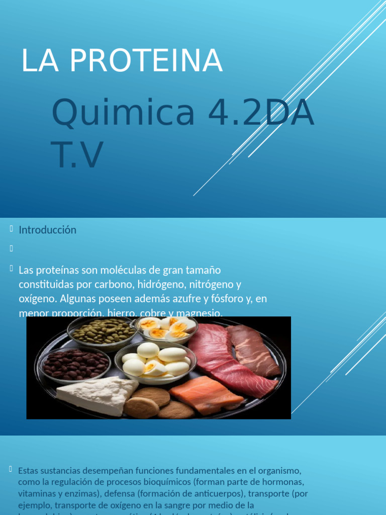 La Proteina | PDF | Proteínas | Aminoácidos