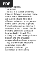 Leaf Dichotomous Key | PDF | Leaf | Branches Of Botany