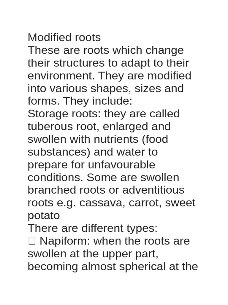 Morphology 9 | PDF | Root | Plant Morphology