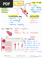 The Anesthesia Chart | PDF | Anesthesia | Clinical Medicine