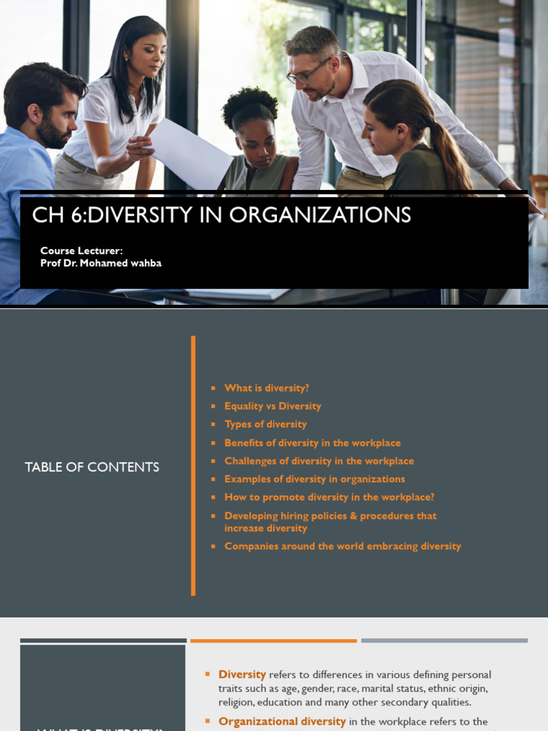 CH 7 Diversity in Organizations | PDF | Diversity (Business) | Recruitment