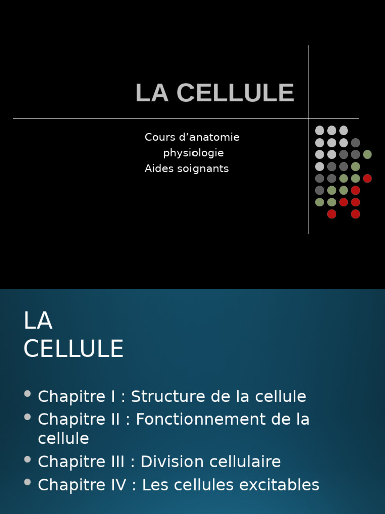 Anatomie de La Cellule | PDF | Noyau (biologie) | Membrane cellulaire