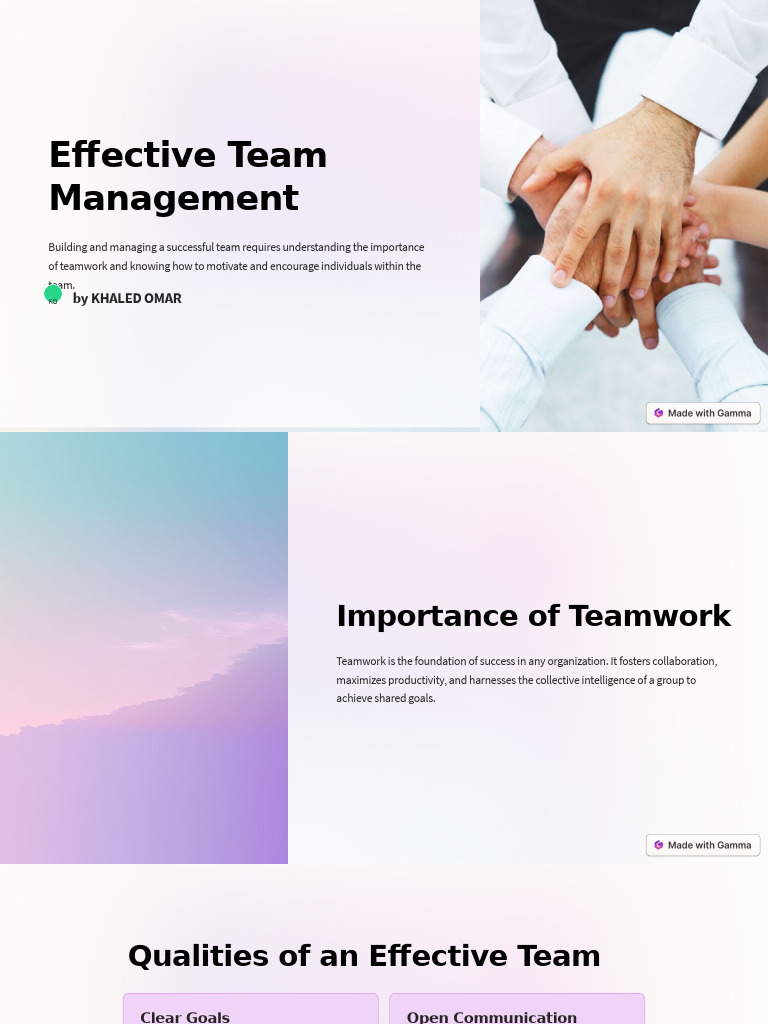 Team Management Essentials | PDF | Team Building | Collaboration