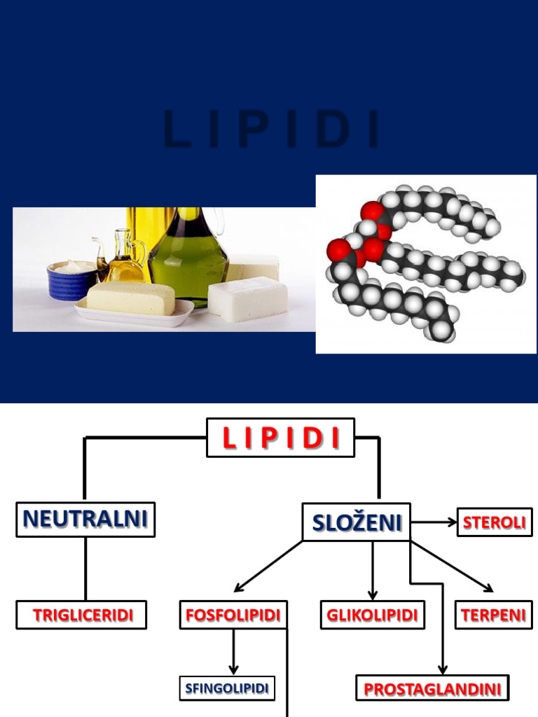 11.Lipidi | PDF