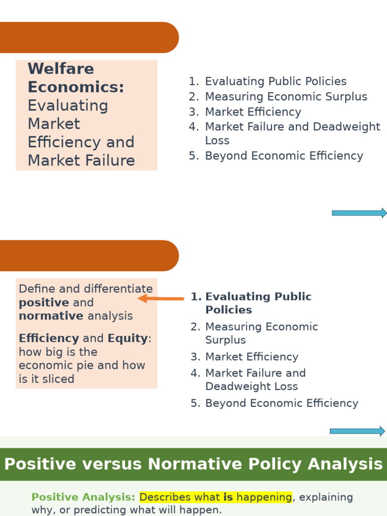 Economic Efficiency | PDF | Economic Surplus | Market (Economics)