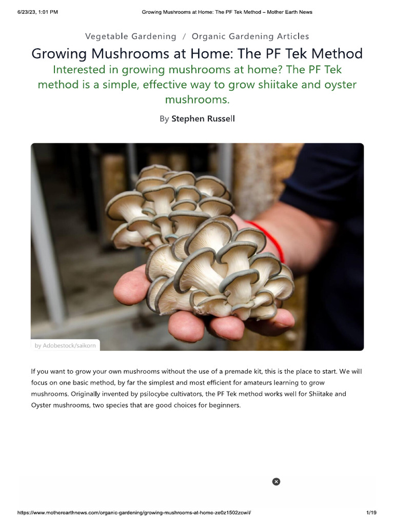 Growing Mushrooms at Home_ The PF Tek Method | PDF
