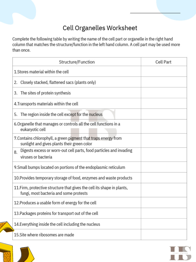 Cell Organelles Worksheet and Key | PDF | Cell (Biology) | Organelle