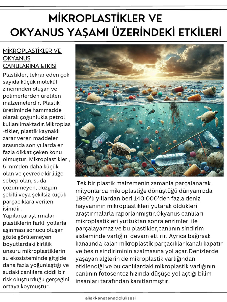 Okyanus Makale | PDF