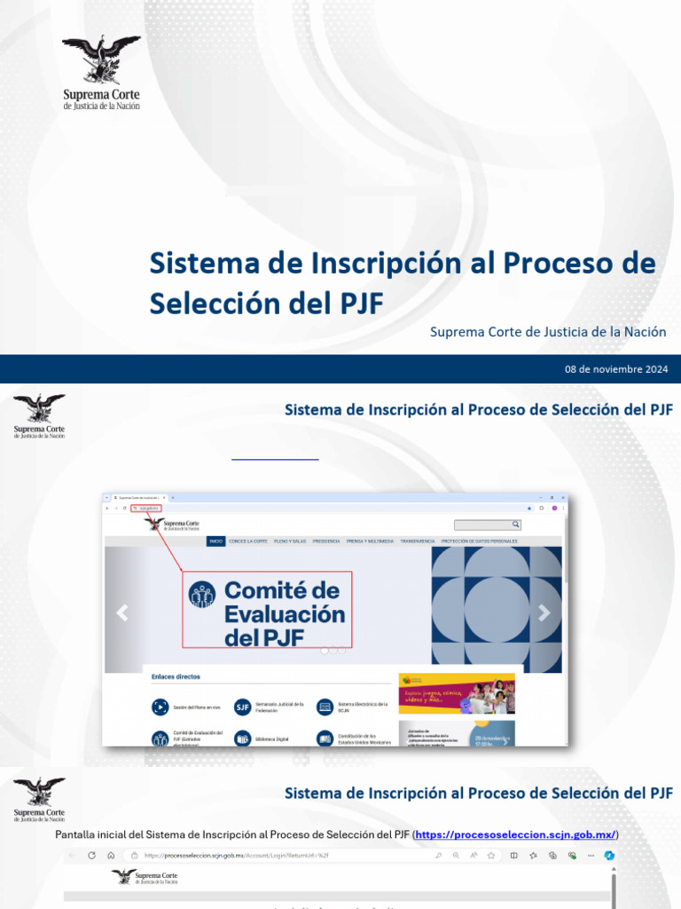 Manual PJF | PDF
