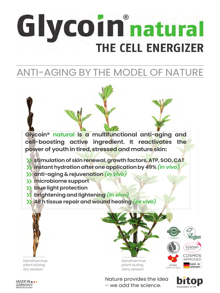 FLYER - Glycoin Natural - 3 Pages | PDF | Chemical Substances | Water