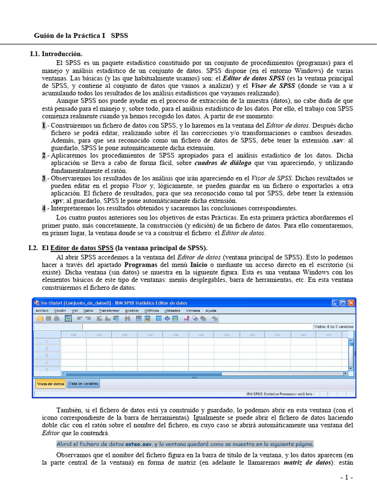 Guiones de practicas de SPSS | PDF | Spss | Ventana (informática)