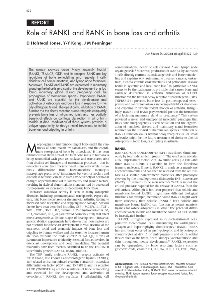 Role of RANKL and RANK in bone loss and arthritis | PDF | Bone | Arthritis