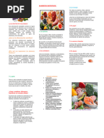 Olla Alimentaria | PDF | Alimentos | Fruta