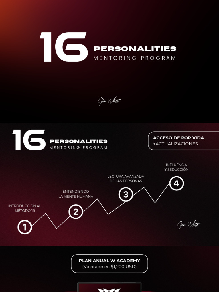 16P Mentoring Program-1-4 | PDF