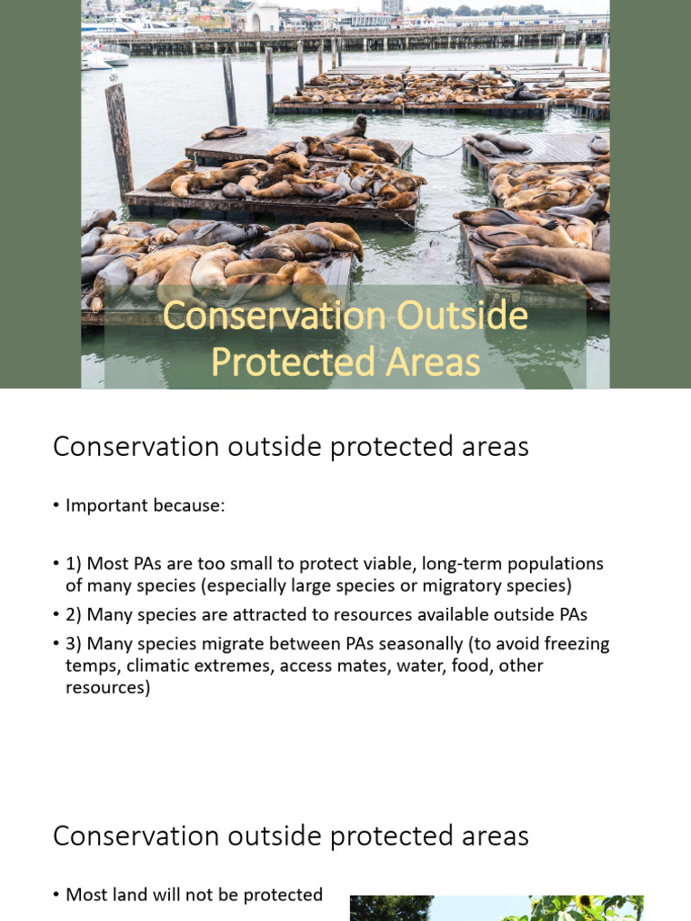 Biodiversity Conservation Beyond Protected Areas | PDF | Conservation ...