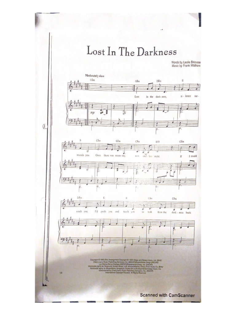 Lost in The Darkness | PDF