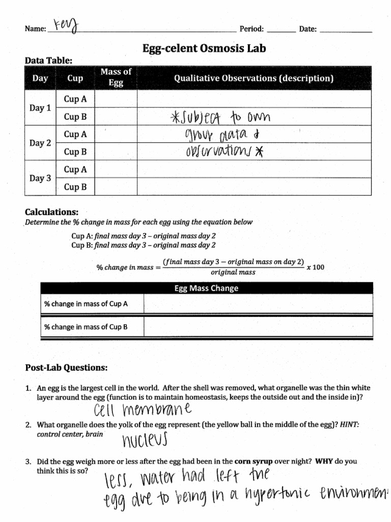 Labratory Experiment Egg | PDF