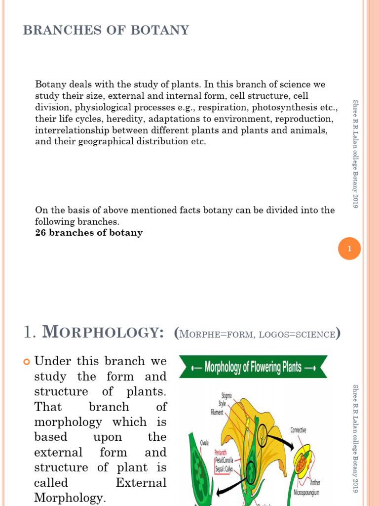 101 1 2 Braches of Botay | PDF | Botany | Plants