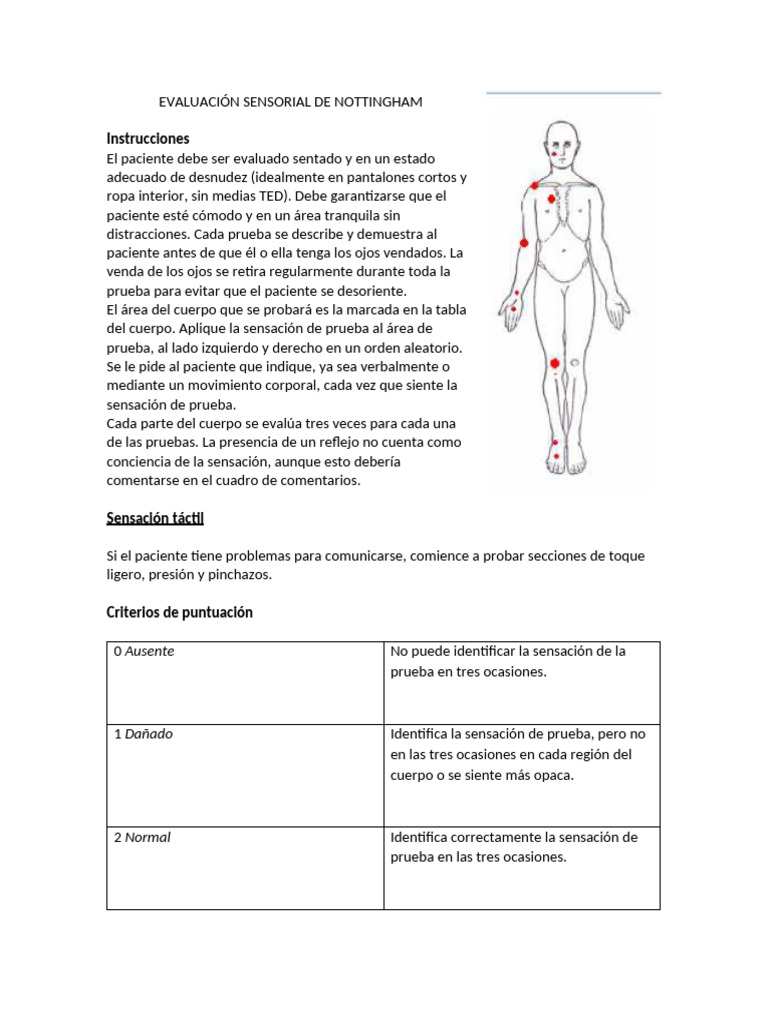 Evaluación Sensorial de Nottingham | PDF
