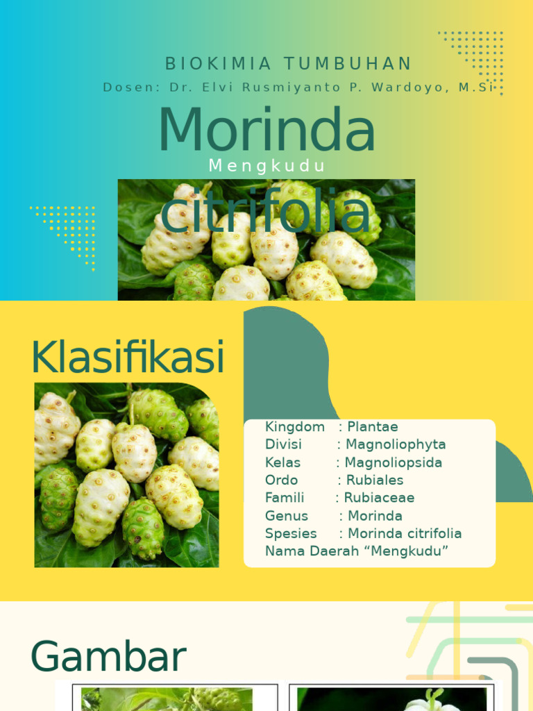 Biokimia Tumbuhan | PDF
