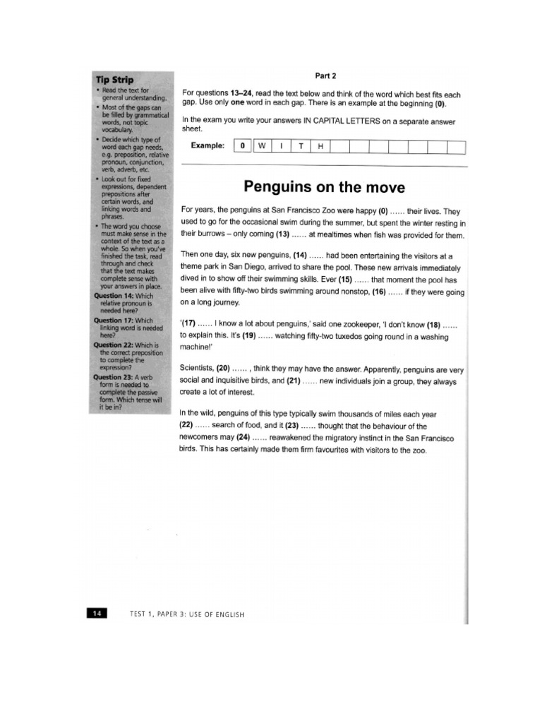 First Certificate Practice Tests Plus 2008 Edition Longman PDF 1 146 13 ...