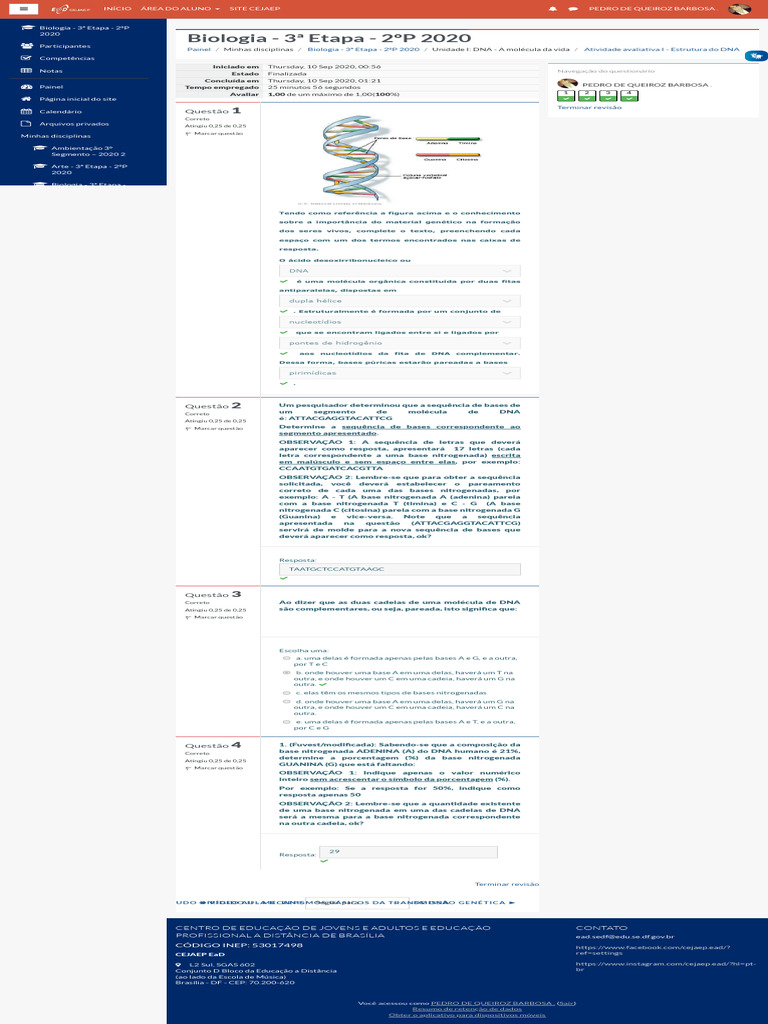 Atividade Avaliativa I - Estrutura Do DNA - Revisão Da Tentativa | PDF | DNA | Biologia