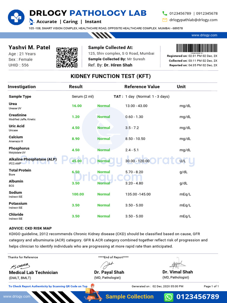 KFT Test Normal Report Format Example Sample Template Drlogy Lab Report ...