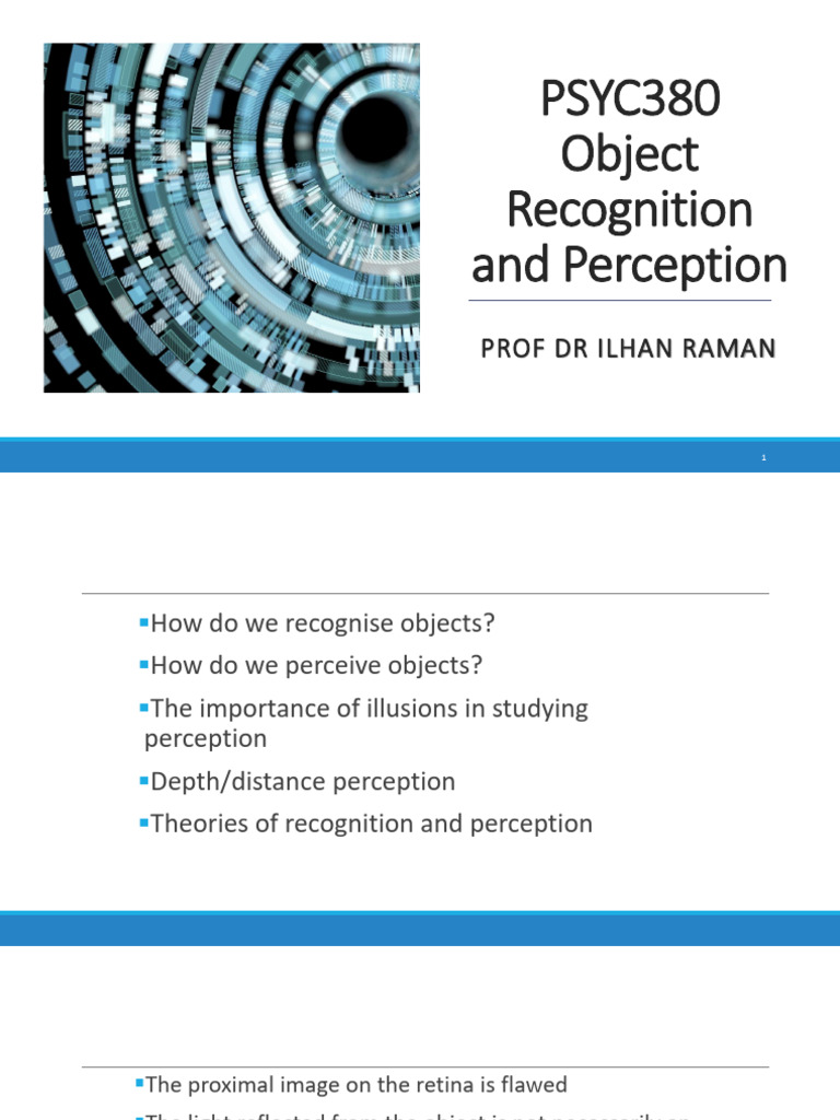 PSYC380 Object Recognition and Perception 2024 | PDF | Perception | Illusion