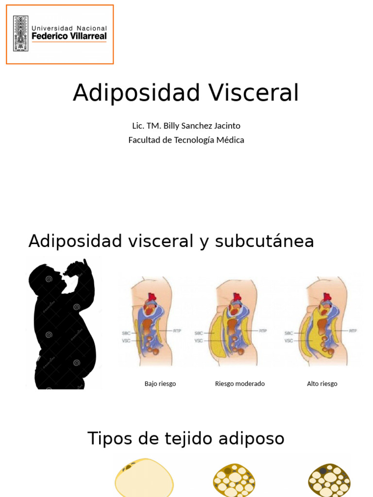 Adiposidad Visceral | PDF | Tejido adiposo | Anatomía