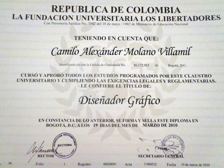 DIPLOMA PREGRADO | PDF