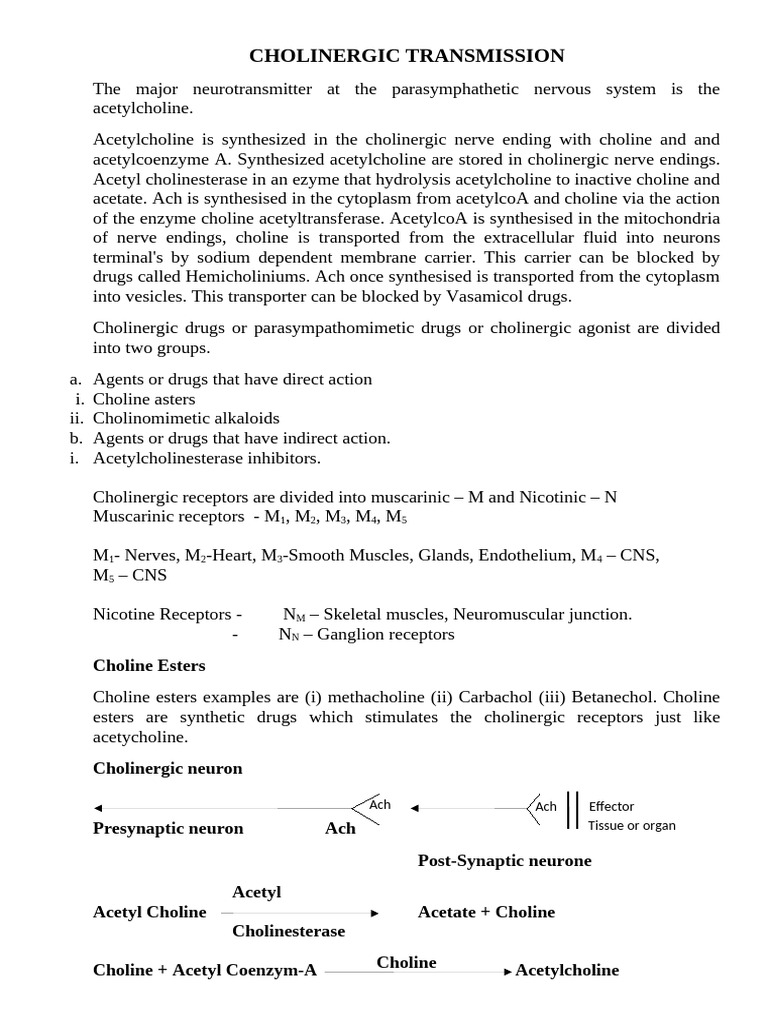 Cholinergic Transmission-1 | PDF | Acetylcholine | Neurochemistry