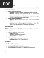 Grade 9 Photosynthesis | PDF | Leaf | Photosynthesis