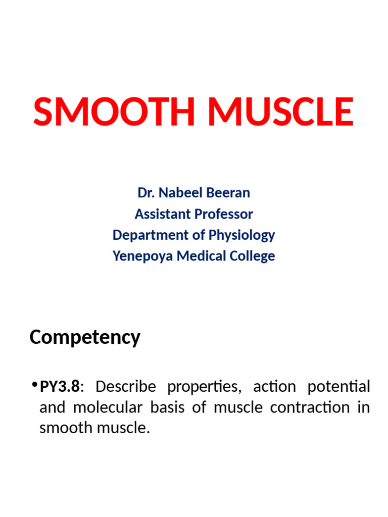 8. Smooth Muscle | PDF | Muscle Contraction | Skeletal Muscle