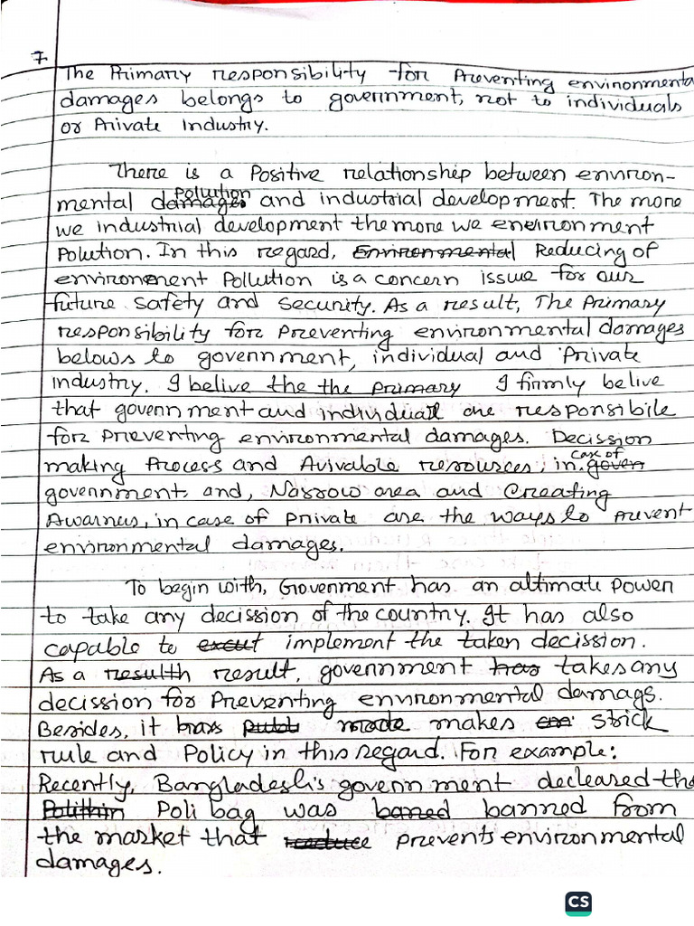 The Primary Responsibility | PDF