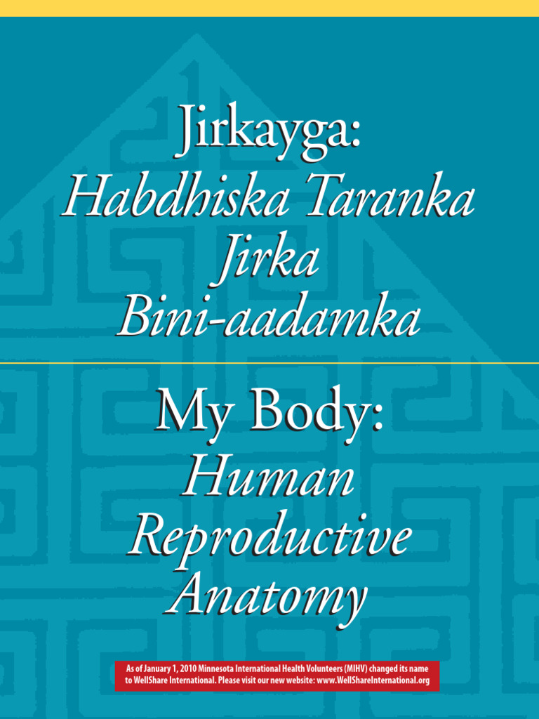 My Body Human Reproductive Anatomy Booklet | PDF | Labia | Prostate
