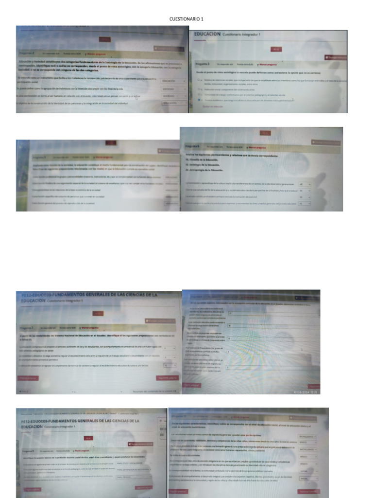 CUESTIONARIOS | PDF