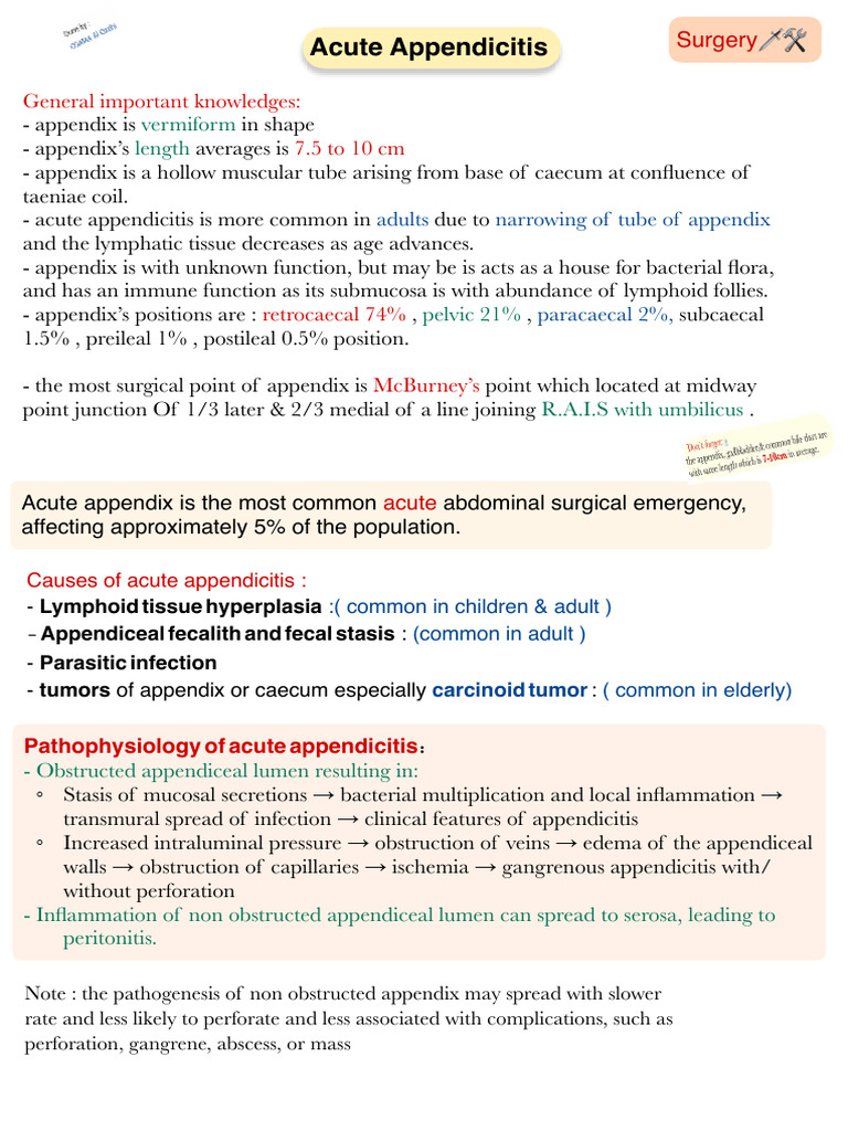 Understanding Acute Appendicitis: Causes & Treatment | PDF | Abdomen ...