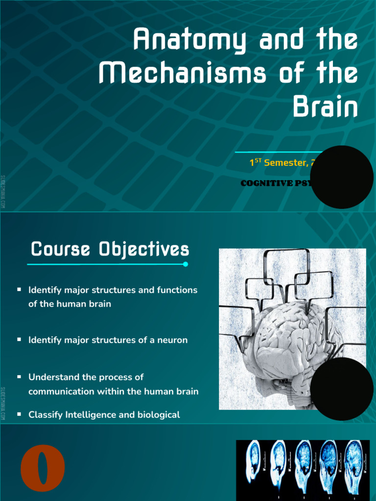 Updated 2nd Lecture Cognitive Psych | PDF | Brain | Cerebrum
