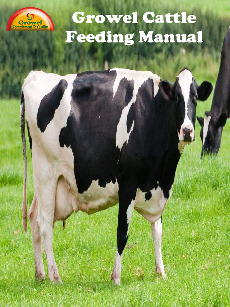 Growel Cattle Feeding Manual | PDF | Cattle | Fodder